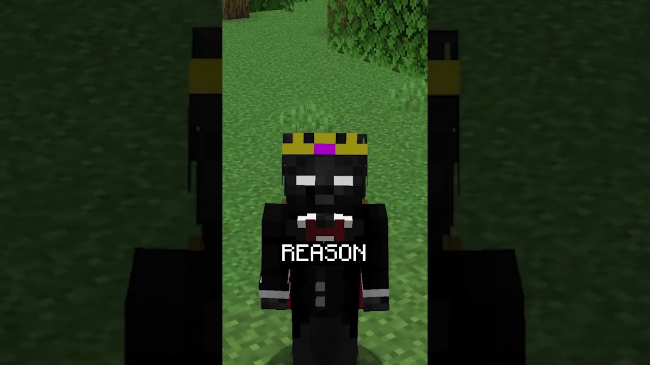 Minecraft's Tallest World Record - Minecraft videos