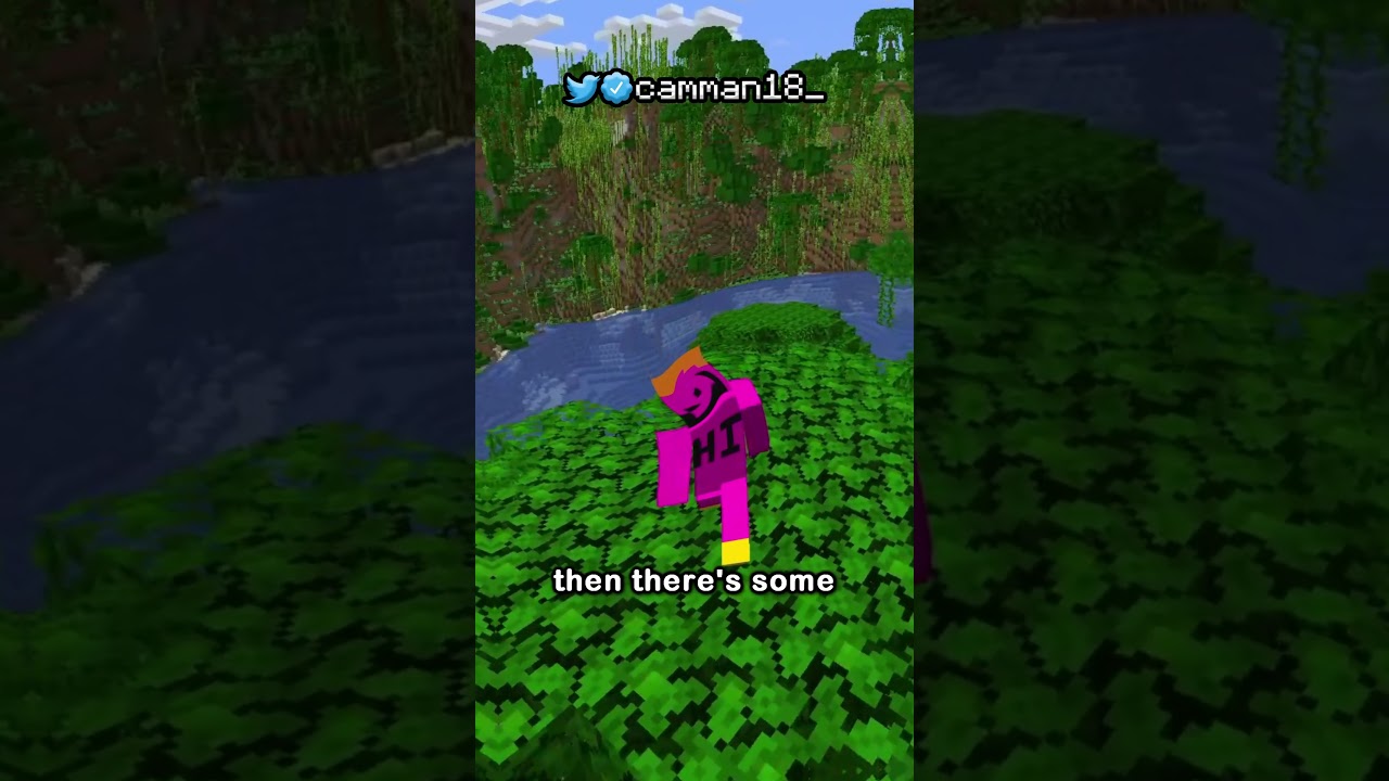 the worst minecraft texture EVER - Minecraft videos