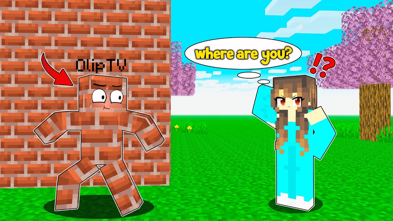 Using Camo To Cheat In Minecraft Hide And Seek Minecraft Videos 2684