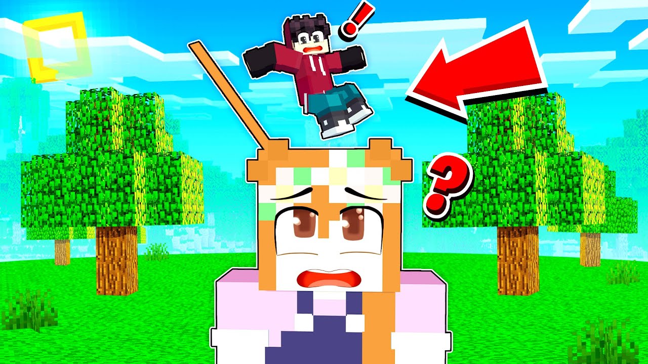 What's Inside LYN's Head in Minecraft - Minecraft videos