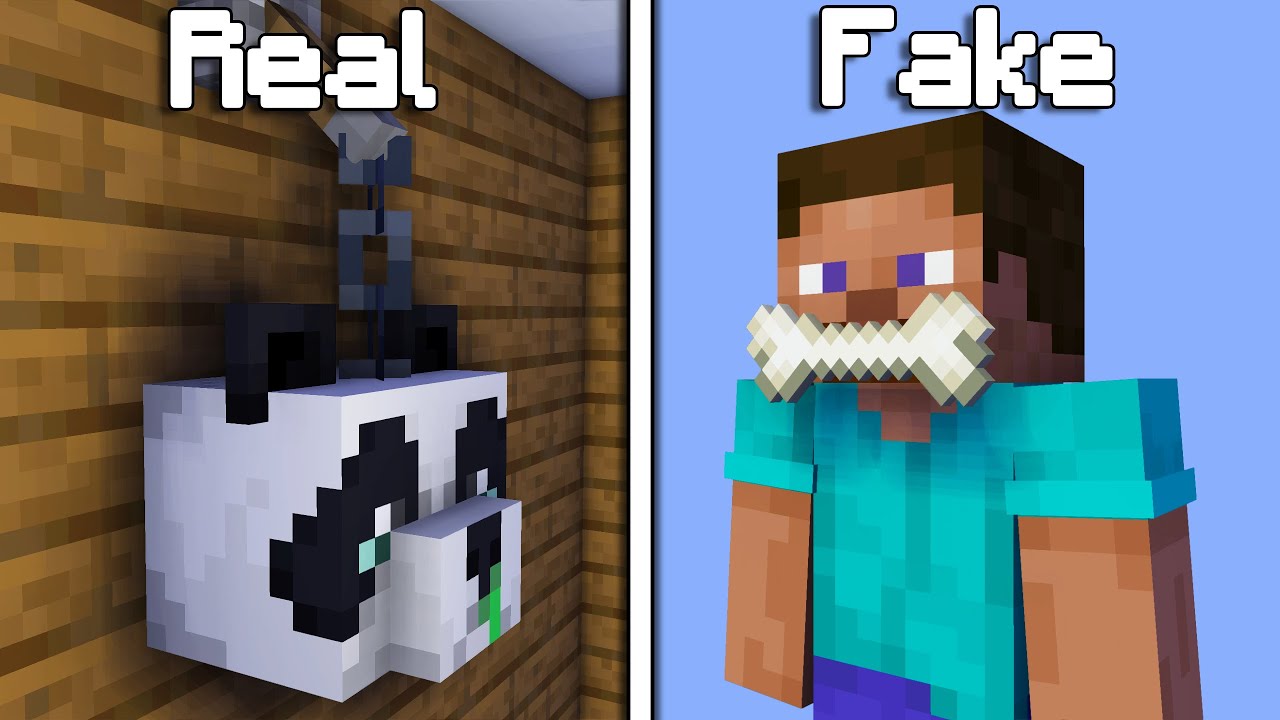 13 Minecraft Facts! (Hindi) - Minecraft videos