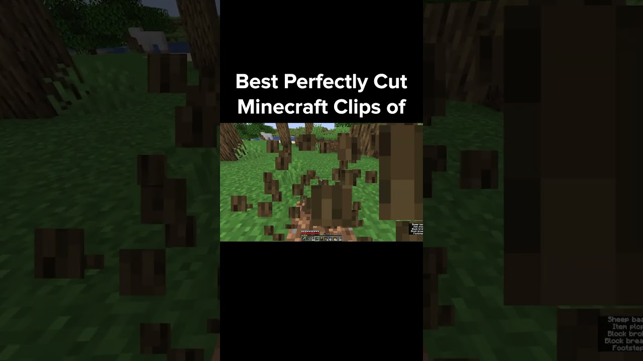 Best Perfectly Cut Minecraft Clips of 2023 - Minecraft videos