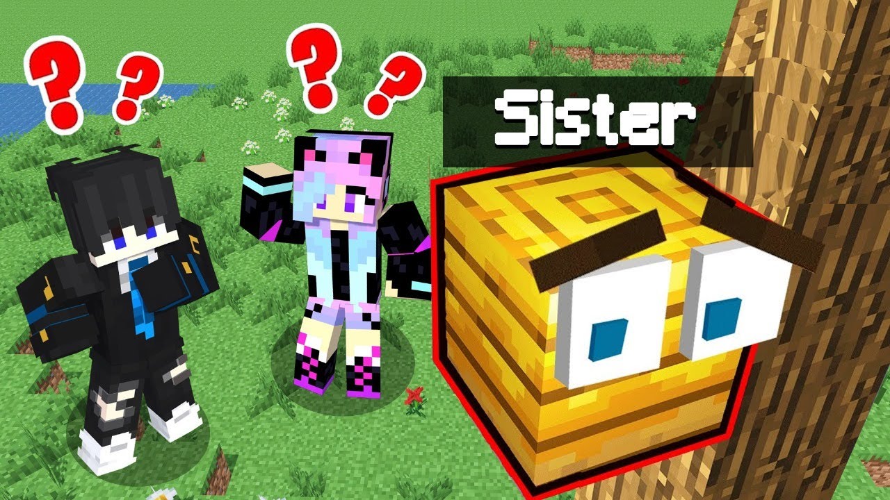 Extreme Hide And Seek in Minecraft! - Minecraft videos