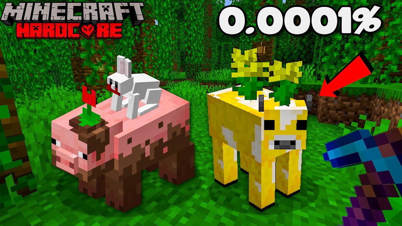 I Collected Every Rare Mob In 24 Hours In Minecraft Hardcore! (Hindi ...