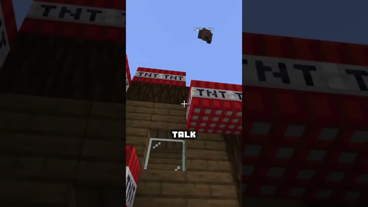 Minecraft Villager fights his bully - Minecraft videos