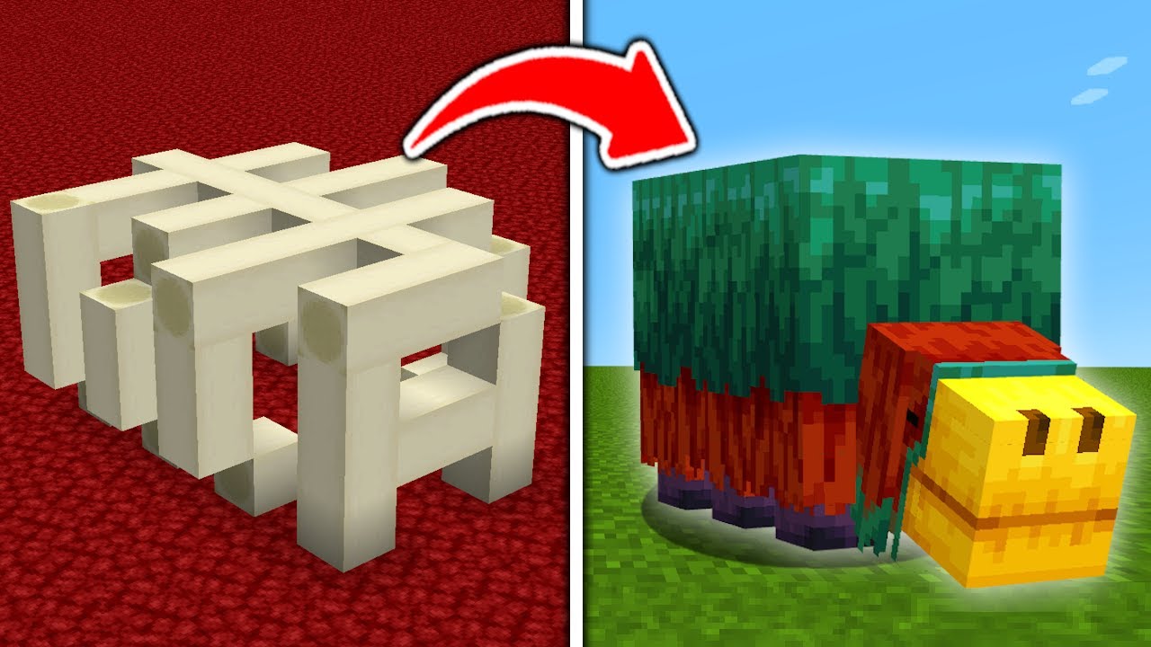 Testing 65 Minecraft Myths in 24 Hours! - Minecraft videos