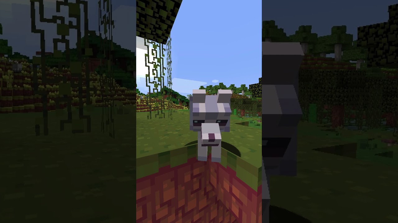 Types of Resource Packs in Minecraft - Minecraft videos