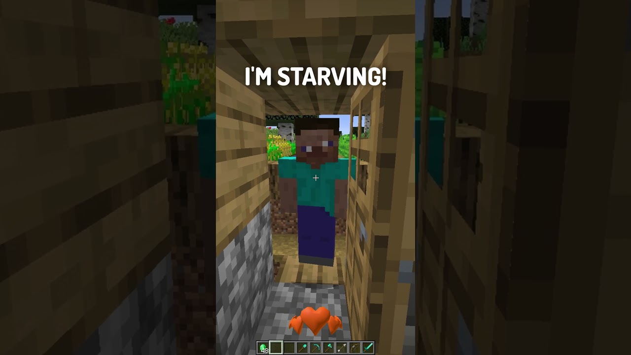 Day in the Life of a Minecraft Pro - Minecraft videos