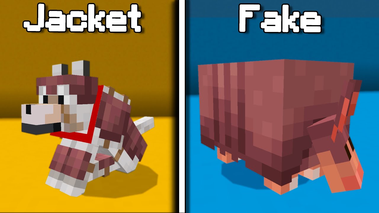 Testing ARMADILLO Myths in Minecraft Pocket Edition (Hindi) - Minecraft ...