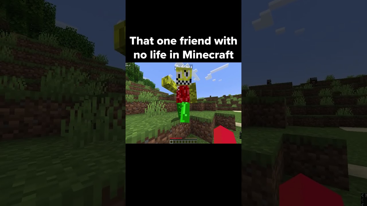 This is Why I Hate Minecraft Players - Minecraft videos