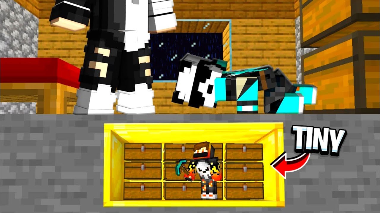 How i became TINY in this MINECRAFT SMP - Minecraft videos