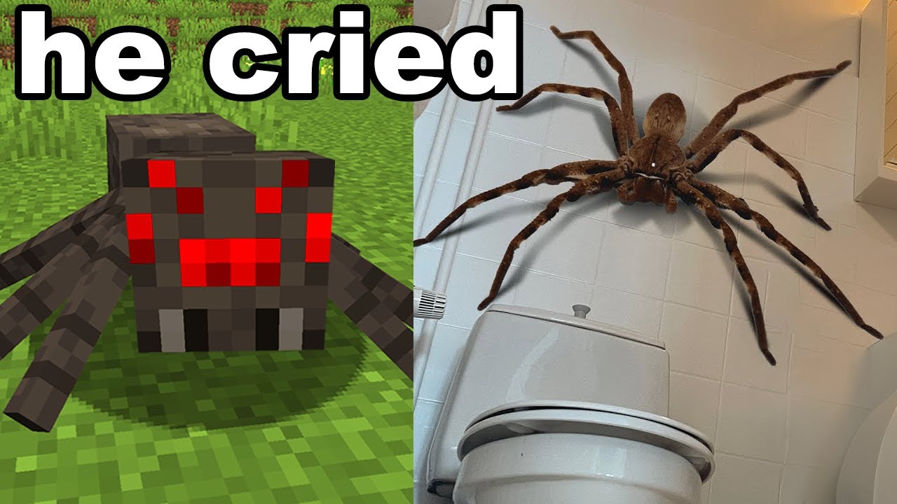 I Got My Little Brother a Minecraft Spider in Real Life - Minecraft videos