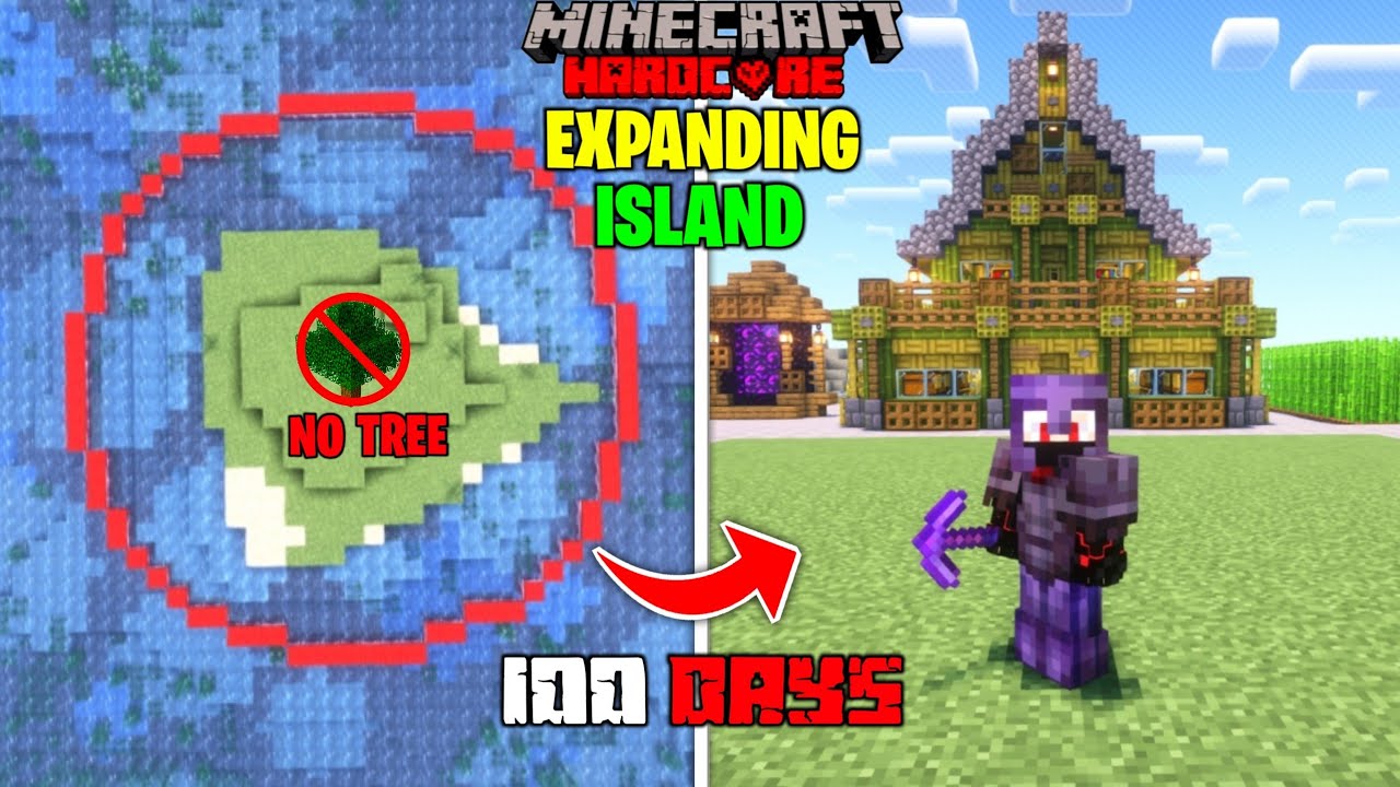 I Survived 100 Days In EXPANDING ISLAND Only World In Minecraft ...