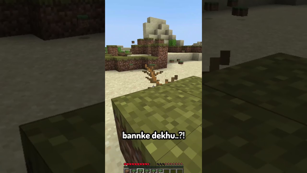 Minecraft, But I Can Morph Into Any Block... - Minecraft videos