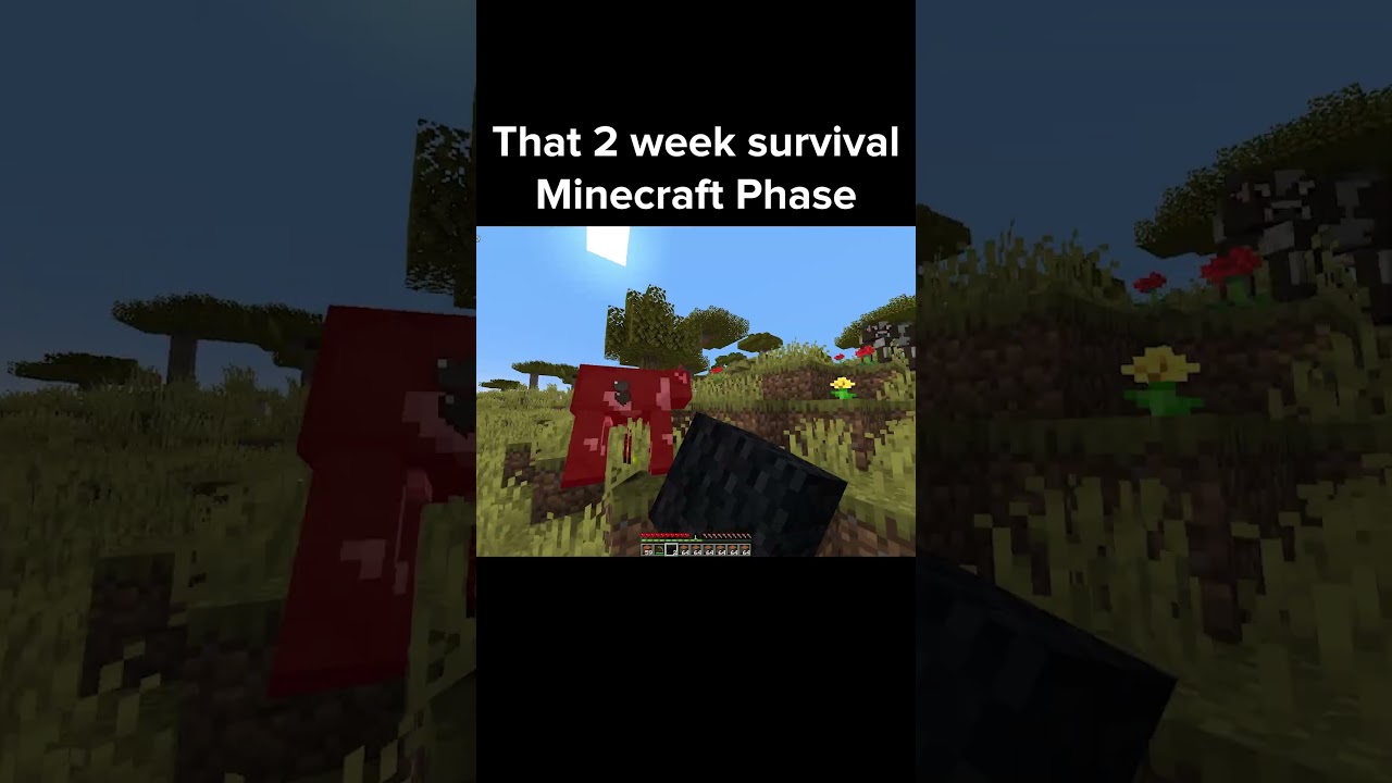 Minecraft Survival Be Like - Minecraft videos