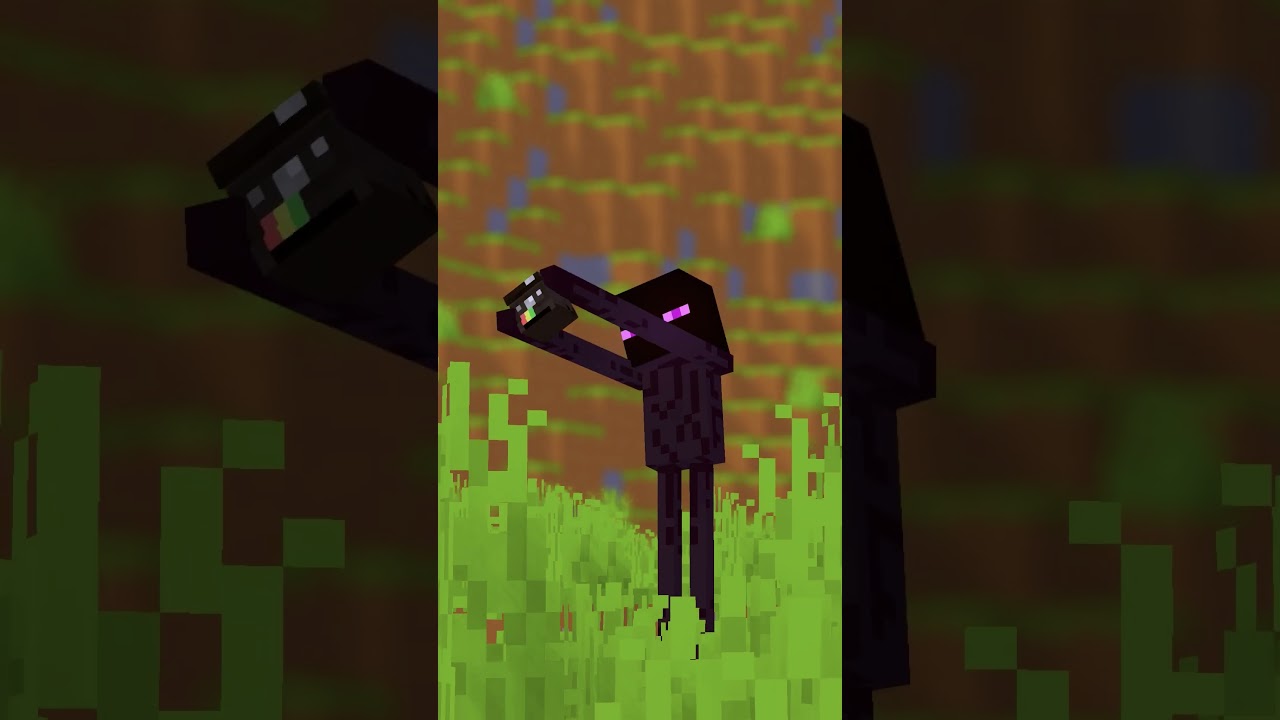 Picture PLZ - Minecraft Animation - Minecraft videos