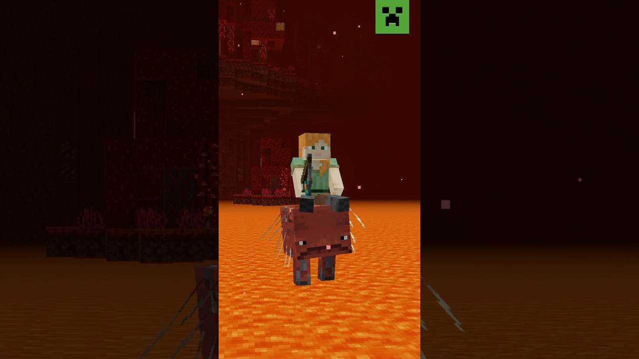 WHAT DO YOU DO IN THE NETHER? - Minecraft videos