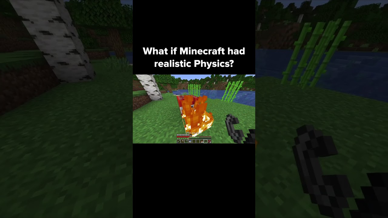 What If Minecraft Had Realistic Physics - Minecraft videos