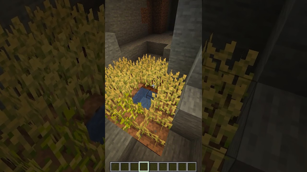 4 Minecraft Facts You Didn't Know... - Minecraft videos