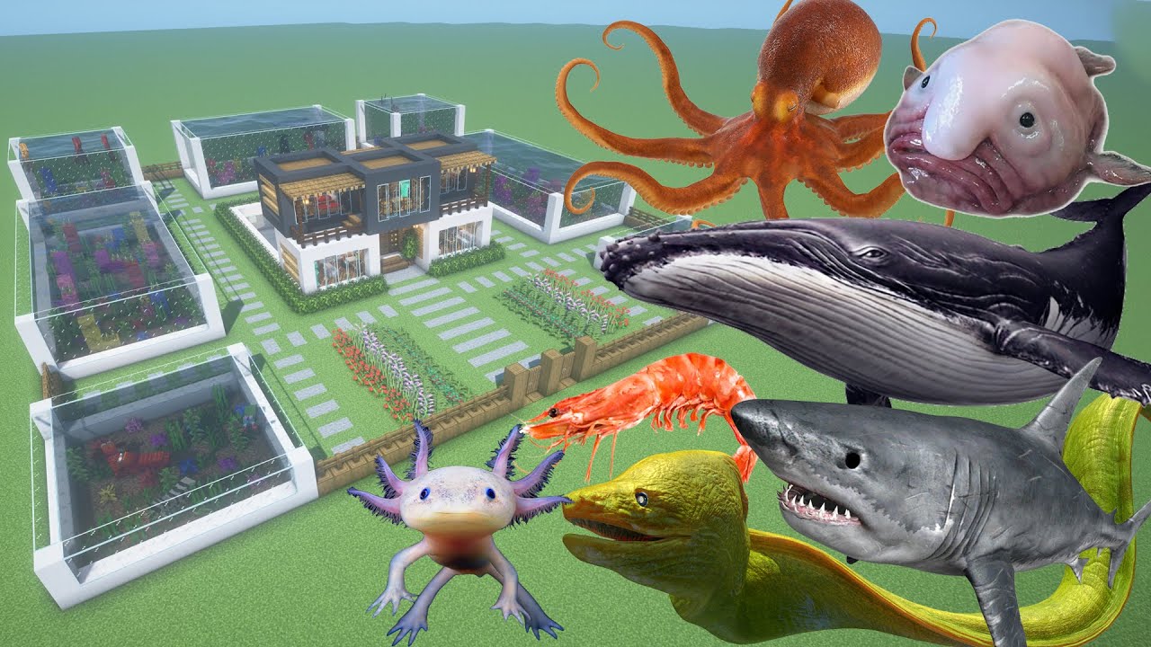How To Make an Ocean Animal Farm in Minecraft PE - Minecraft videos