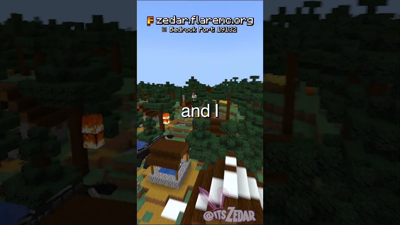 I Found Staff Abusing On My Minecraft Server - Minecraft videos