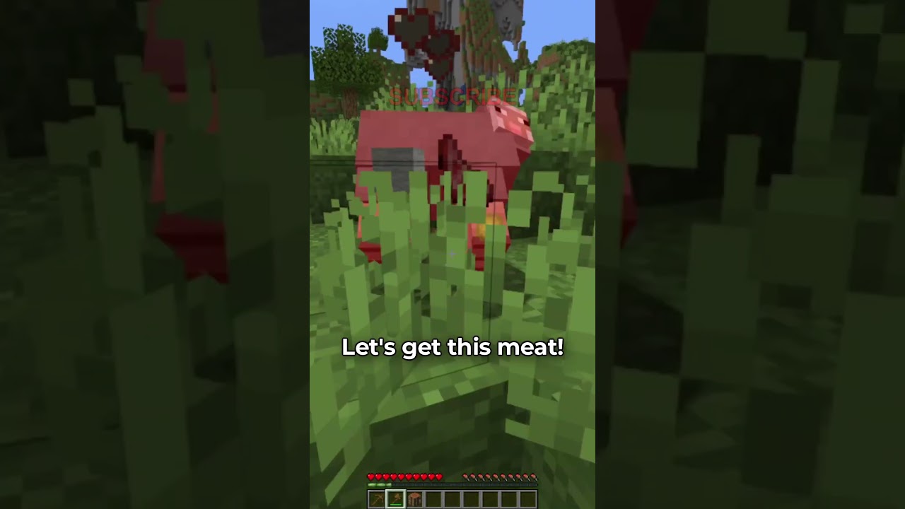 Minecraft, But I Cant Say the Letter "O" - Minecraft videos
