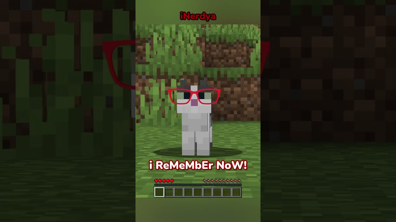 Minecraft, But I'm A Cat - Minecraft videos