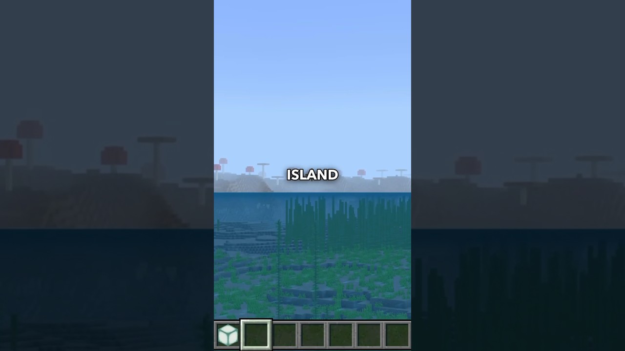 SPAWN IN THE OCEAN 1.20 SEED MINECRAFT Bedrock/Java - Minecraft videos