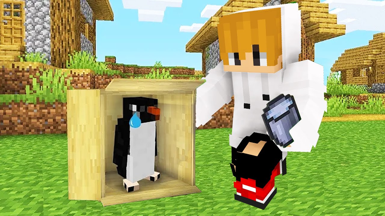 Saving A BABY PENGUIN in Minecraft! - Minecraft videos