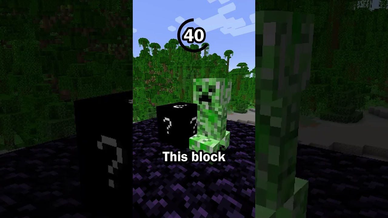 Guess the Minecraft block in 60 seconds 11 - Minecraft videos