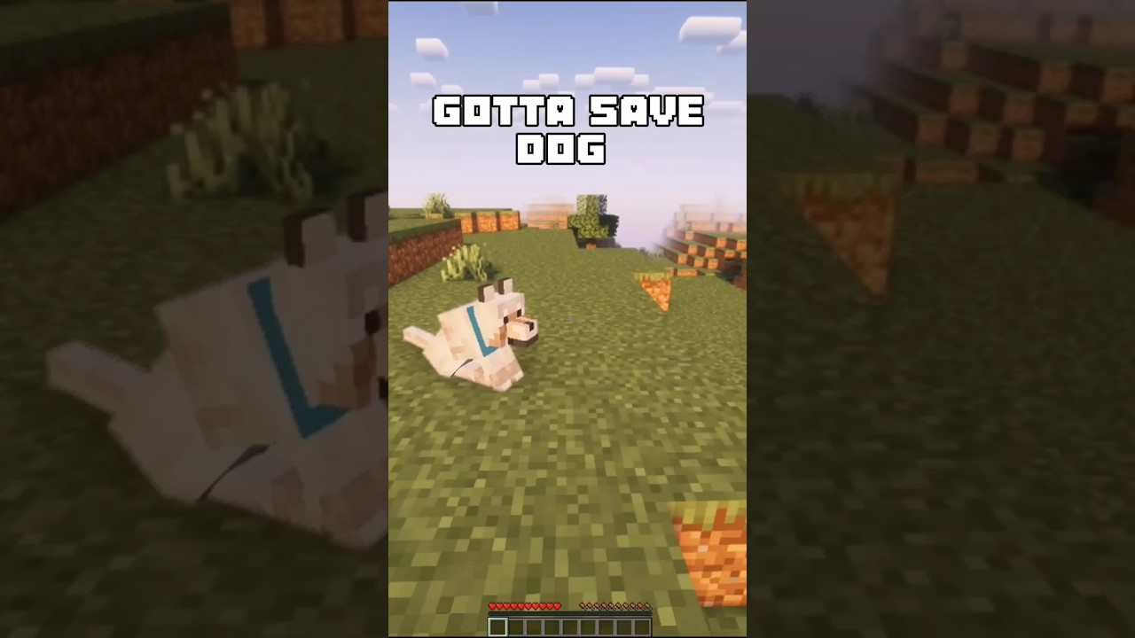 ||Minecraft: Must save dog||Minecraft||#minecraft #minecraftshorts # ...