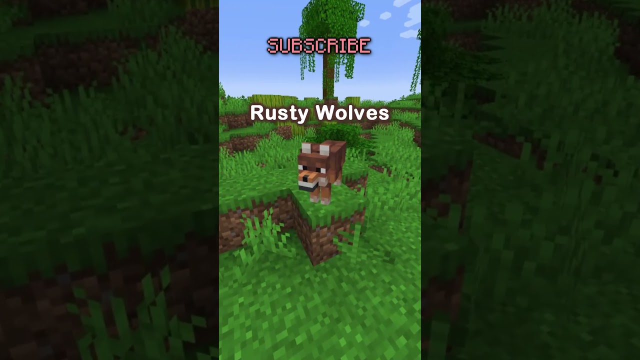 New Wolves In Minecraft! - Minecraft videos