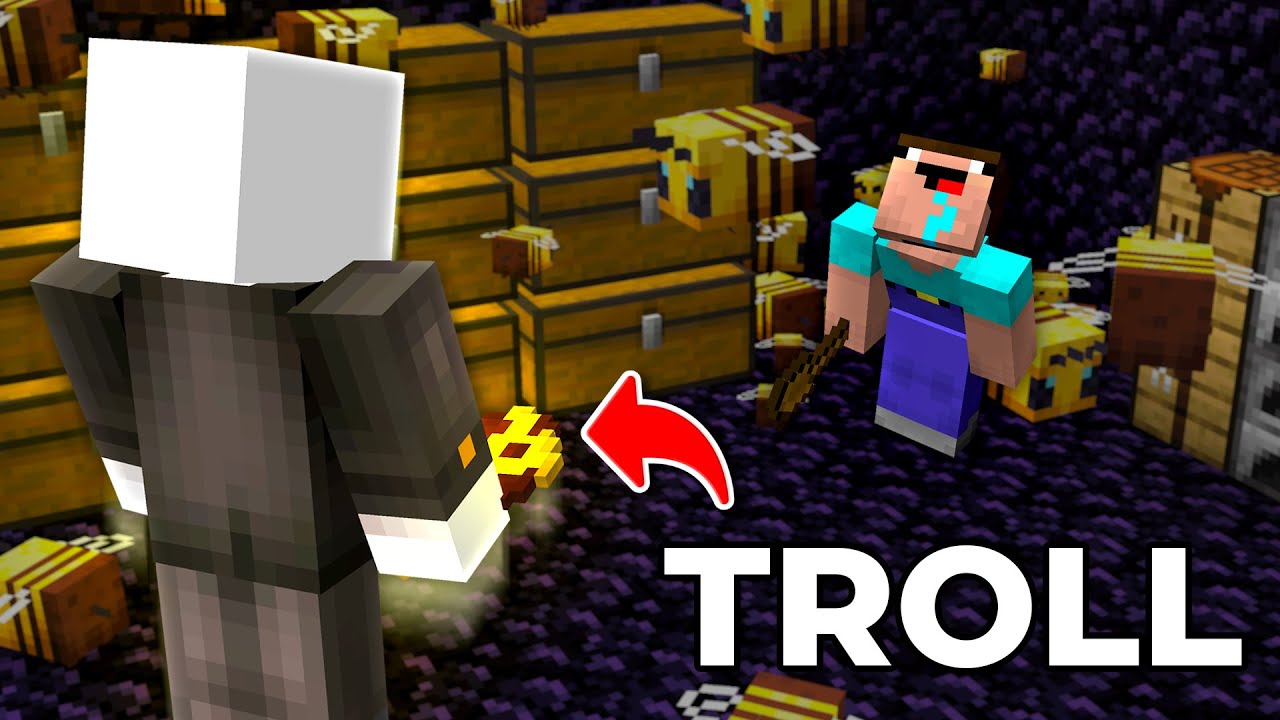 Using 1,439 Bees to TROLL My Minecraft Server - Minecraft videos