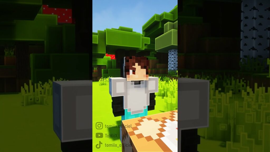 ToMiiX, Author at Minecraft videos