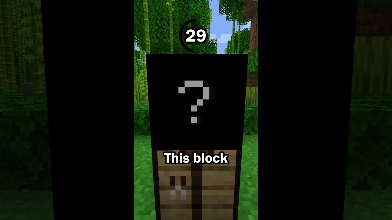 Guess the Minecraft block in 60 seconds 18 - Minecraft videos