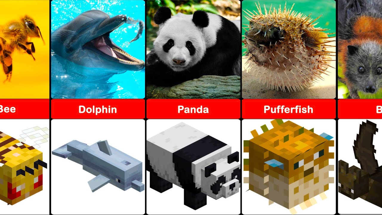 Minecraft All Animals in Real Life - Minecraft videos
