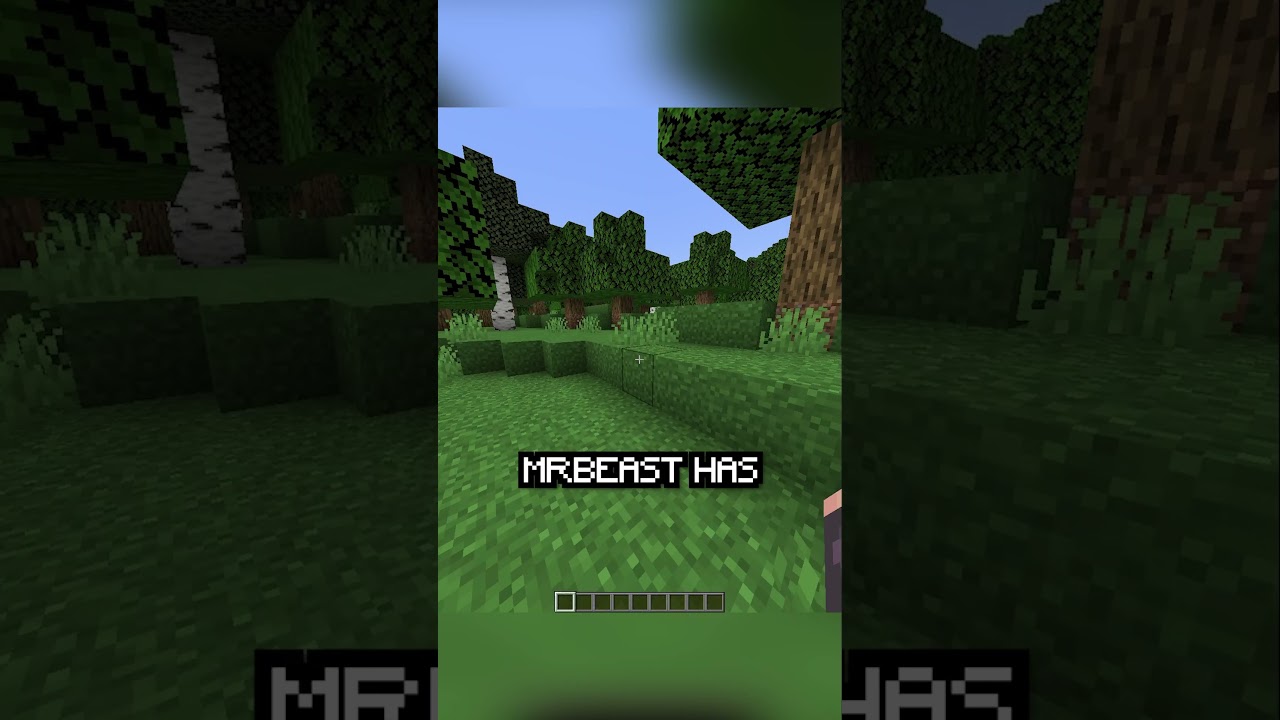 Minecraft, But Its A Random YOUTUBER - Minecraft videos