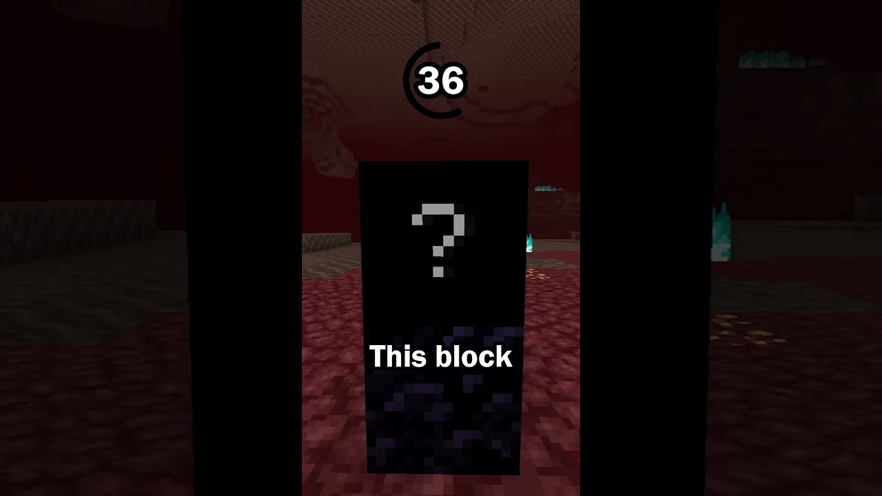 Guess the Minecraft block in 60 seconds 21 - Minecraft videos
