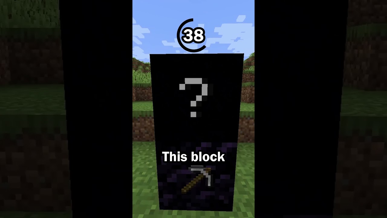 Guess the Minecraft block in 60 seconds 24 - Minecraft videos