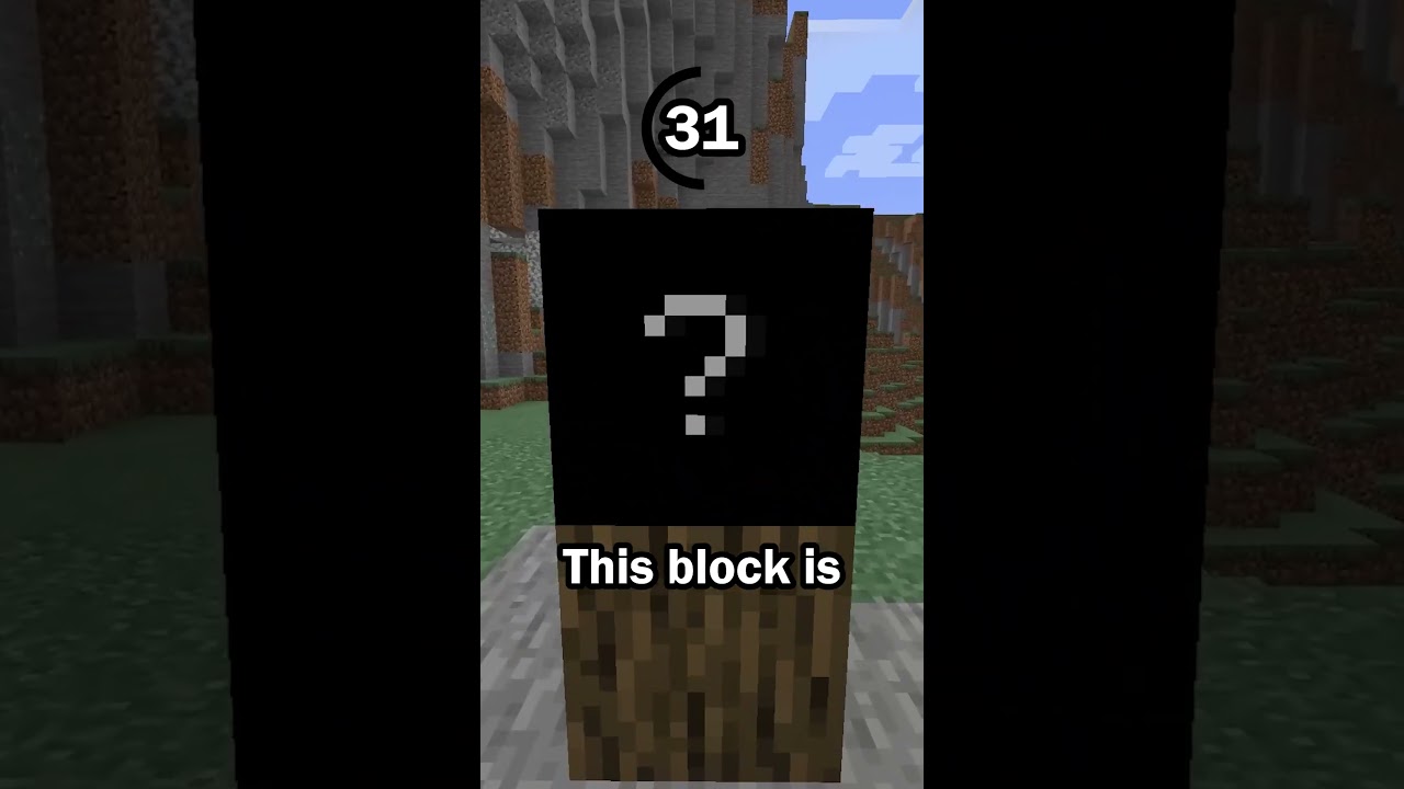 Guess the Minecraft block in 60 seconds 25 - Minecraft videos