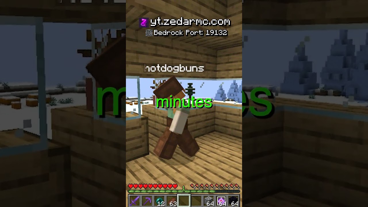 Helping the NICEST NOOB on my Minecraft Server - Minecraft videos