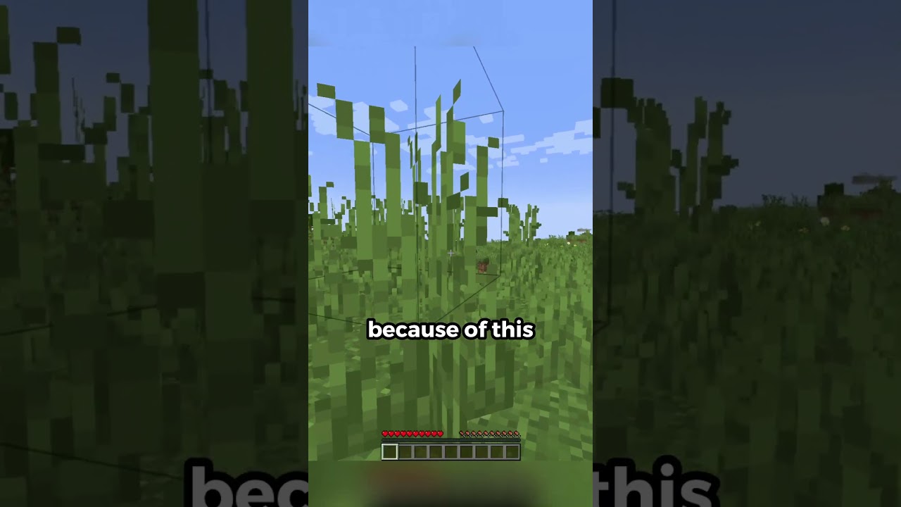Minecraft But I REVEAL My Height - Minecraft videos