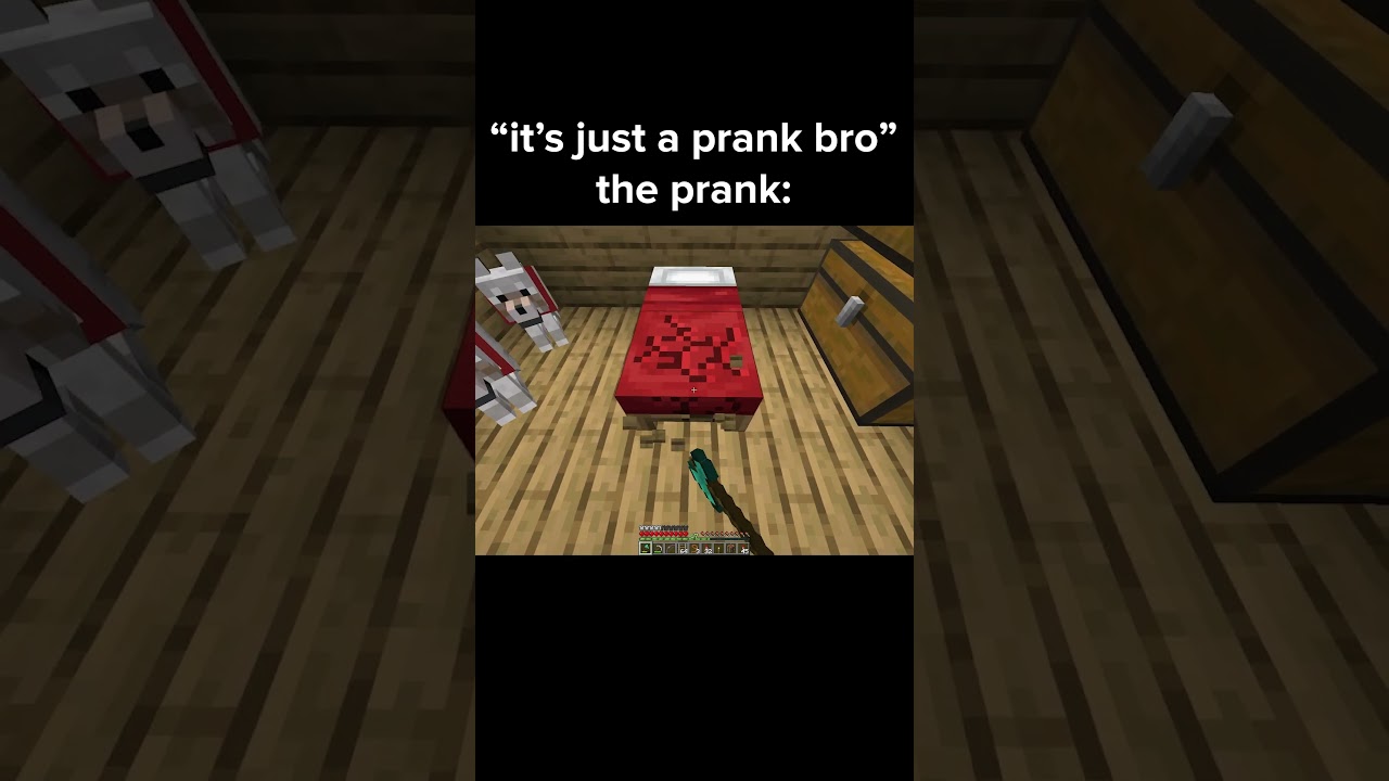 Minecraft Prank Moment - Minecraft videos
