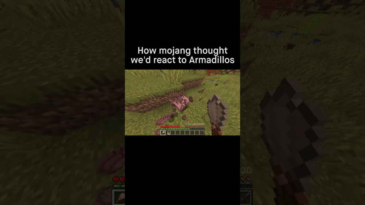 Minecraft how we react to Armadillos - Minecraft videos