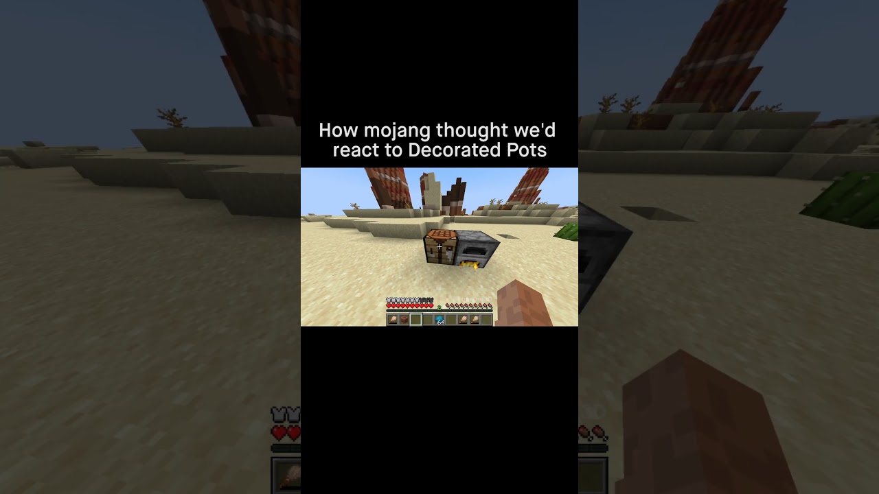 Minecraft how we react to Decorated Pots - Minecraft videos