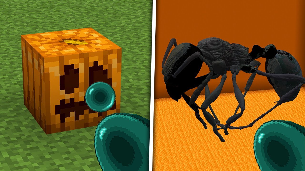 What's inside different blocks in Minecraft? - Minecraft videos