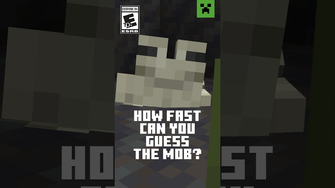 CAN YOU GUESS THE MOB? - Minecraft videos