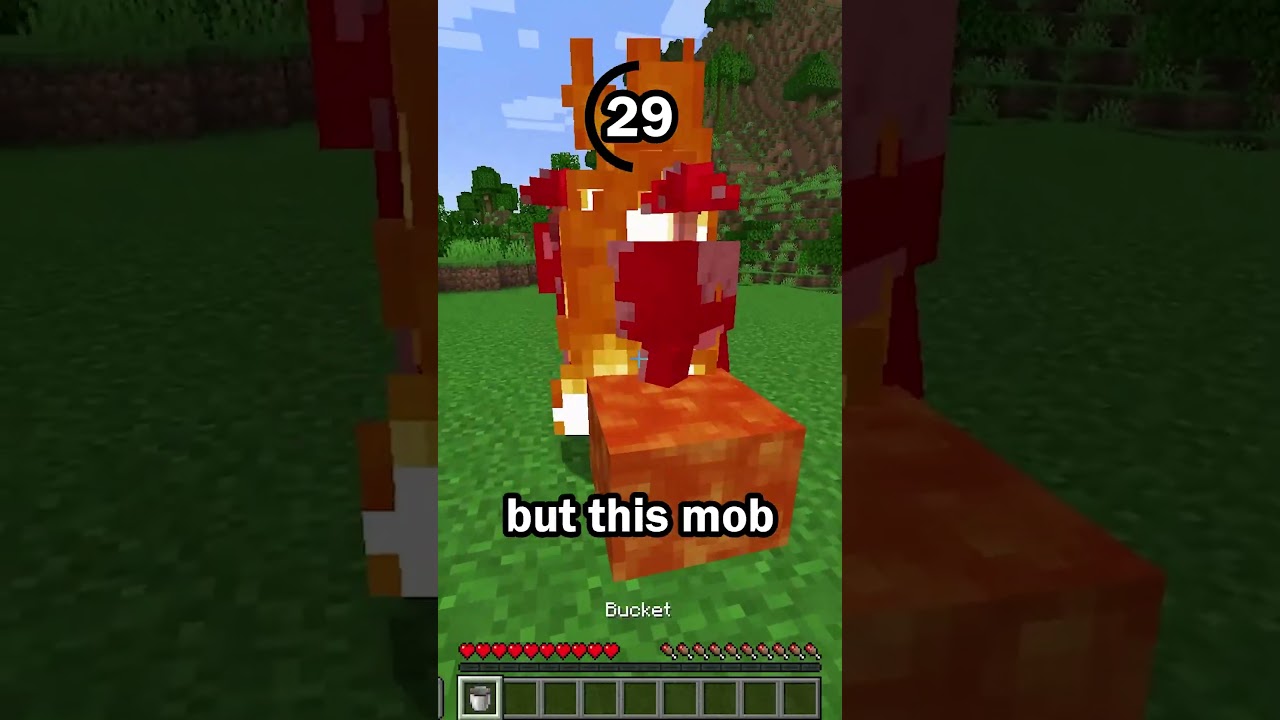Guess the Minecraft mob in 60 seconds 24 - Minecraft videos