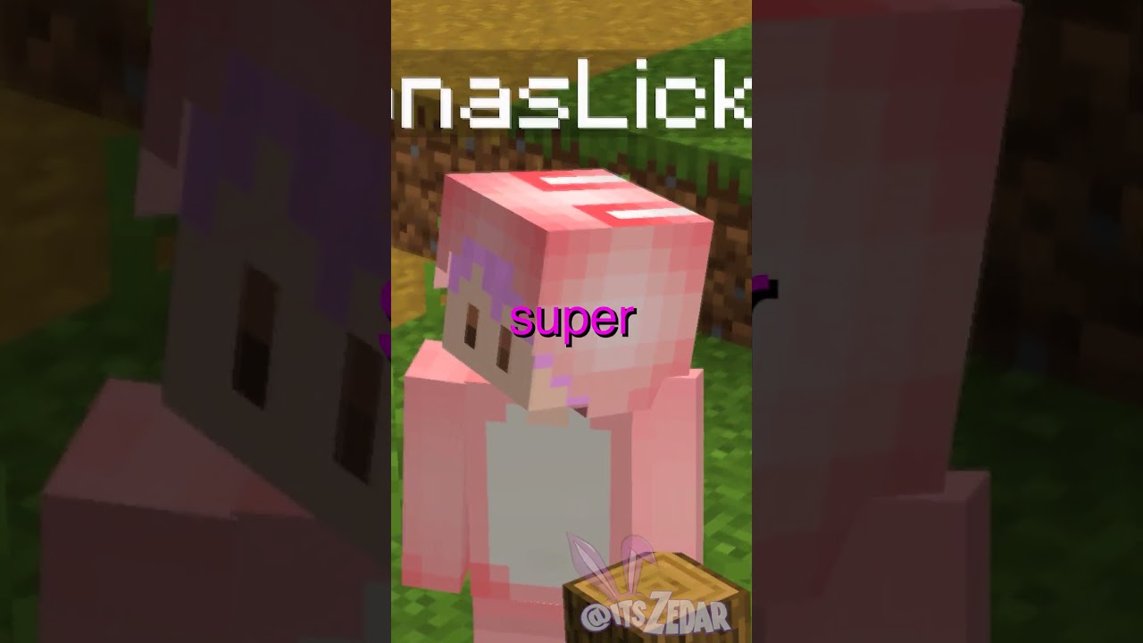 Helping a Noob On My Minecraft Server!!! - Minecraft videos