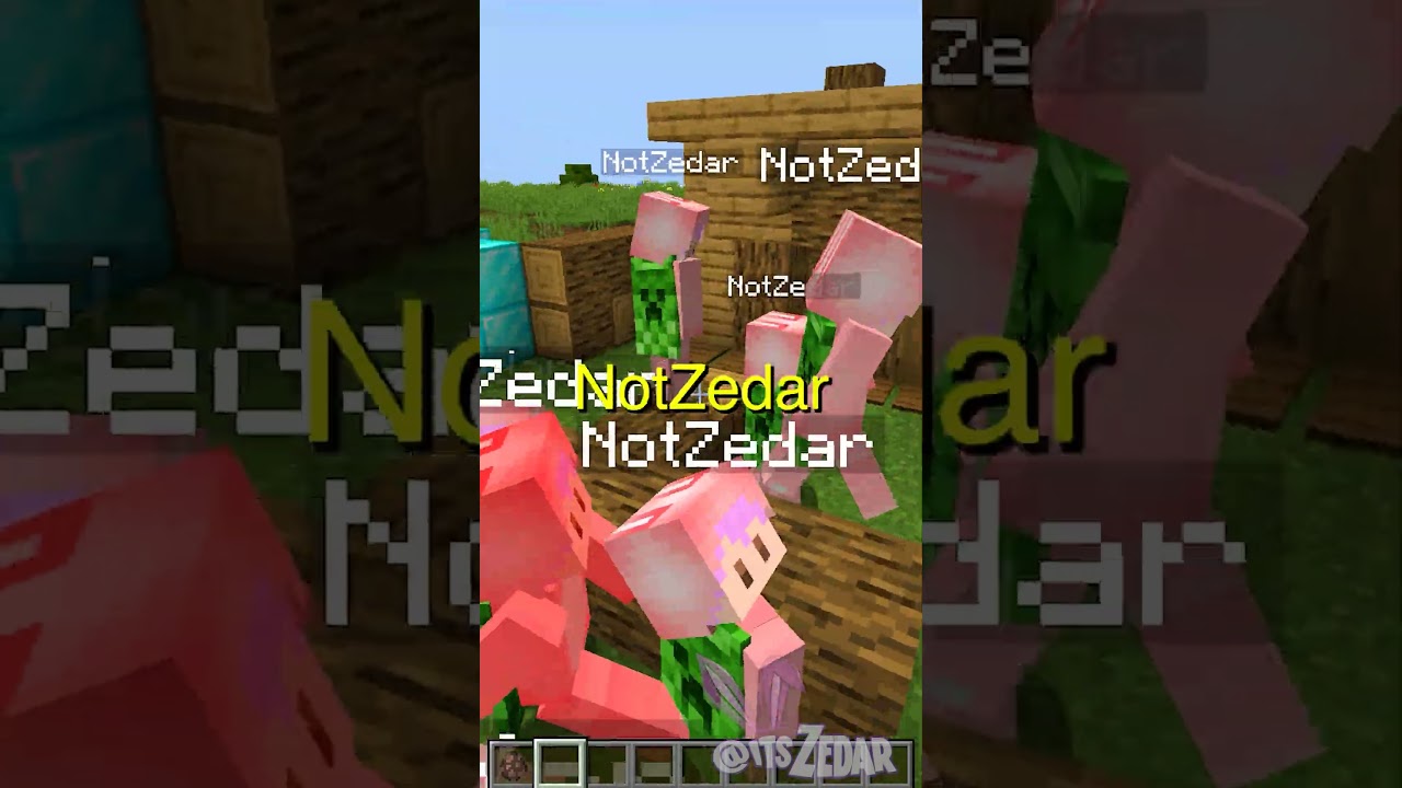 I Found Zedar on my Minecraft Server! - Minecraft videos